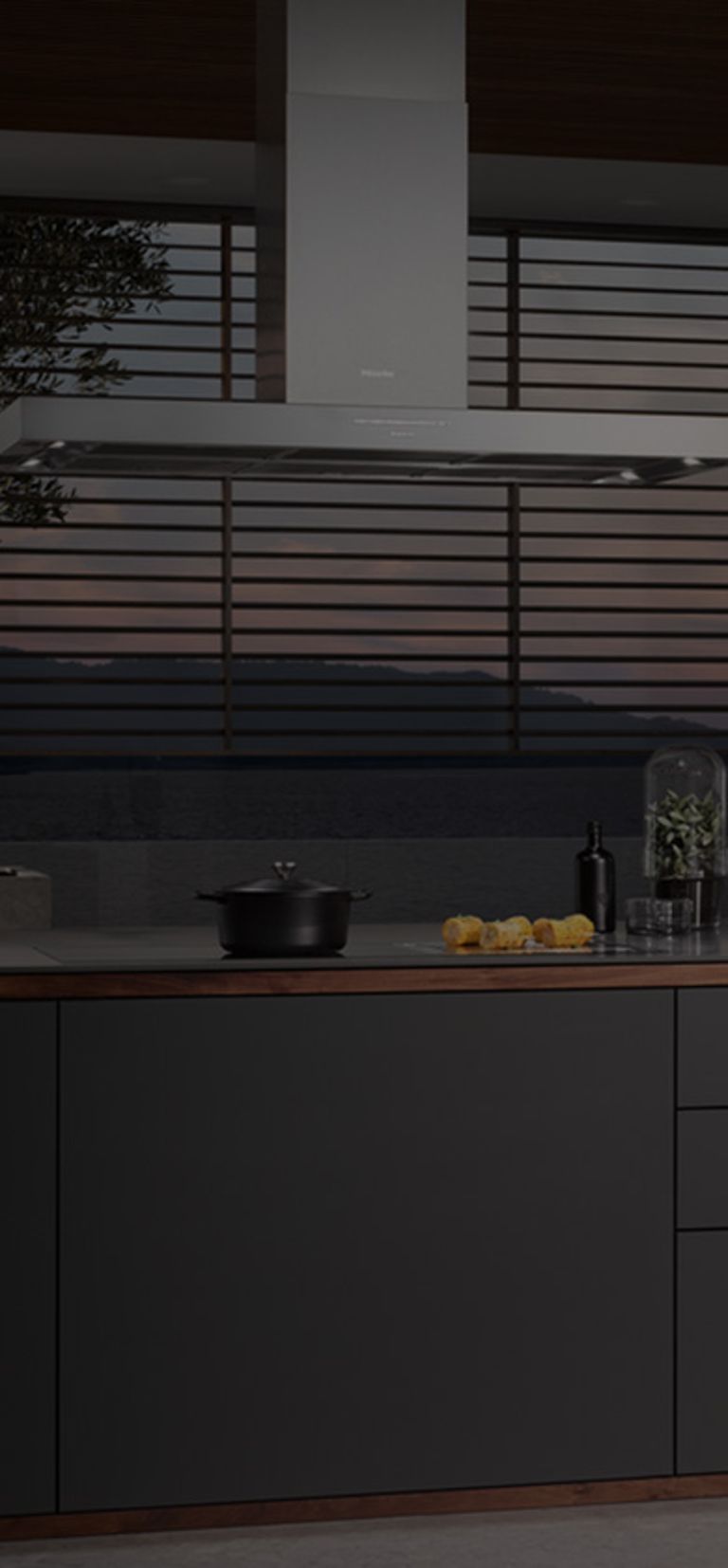 Rangehoods - Miele AU