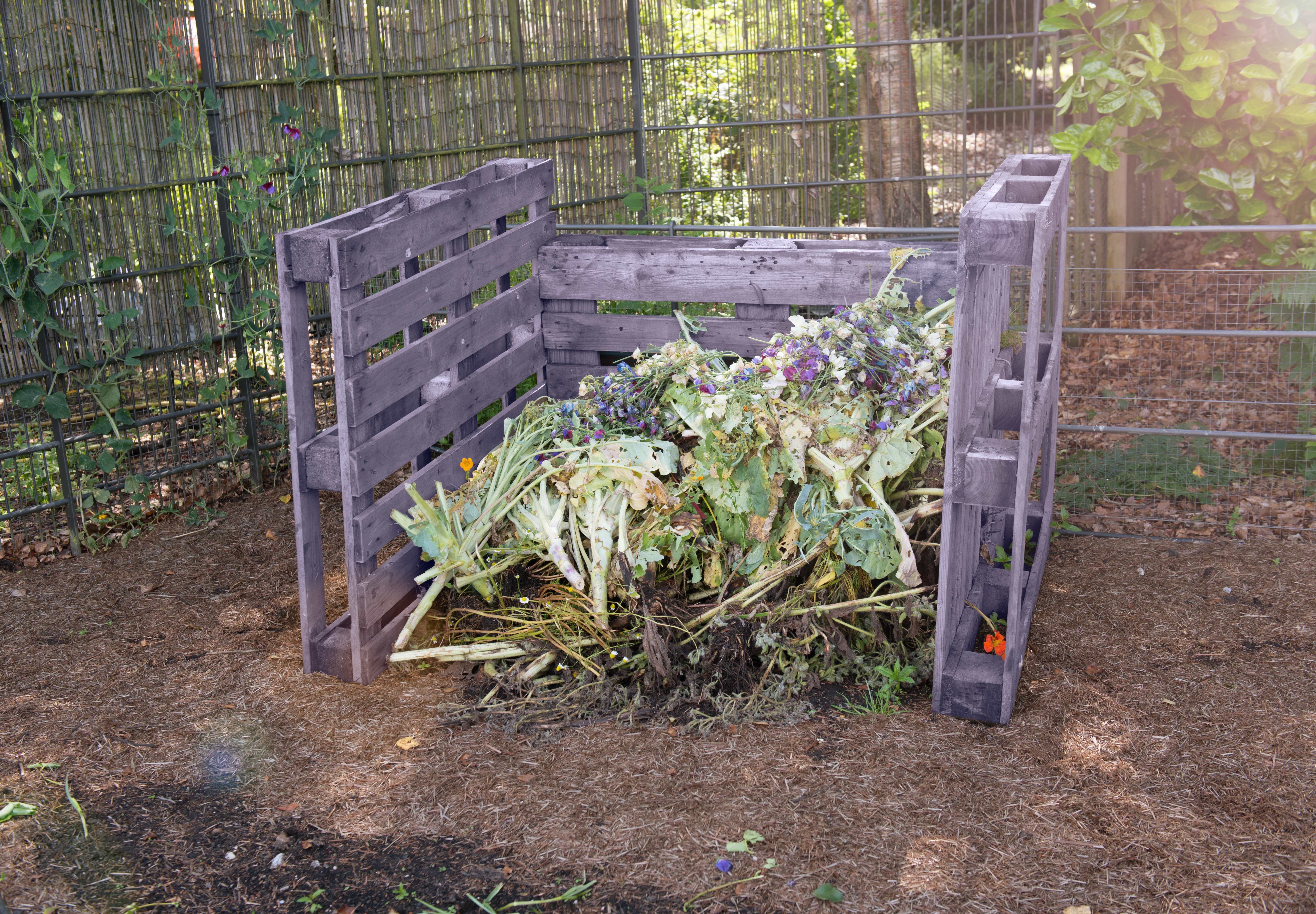 Building up your compost bin | Wickes.co.uk