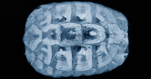 Trigger Concurrent Live Migrations Using PowerShell