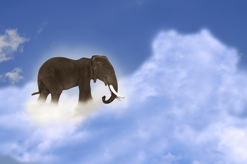 The Elephant in the Cloud: Big HDInsight Improvements This Week