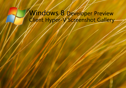 Windows 8 Developer Preview: Windows Explorer Screenshot Gallery