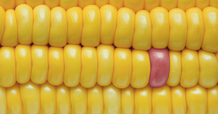 Risk Analysis: Unikernals vs. Containers, et al