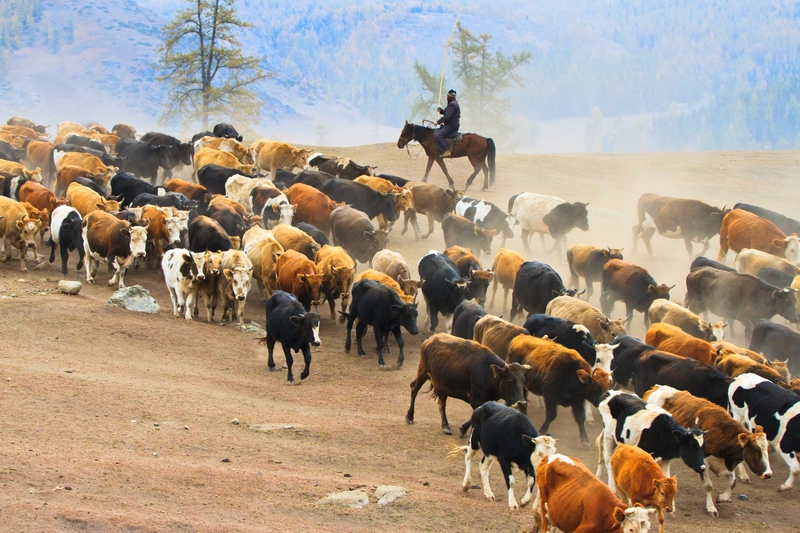 SCVMM SMB Storage Migration