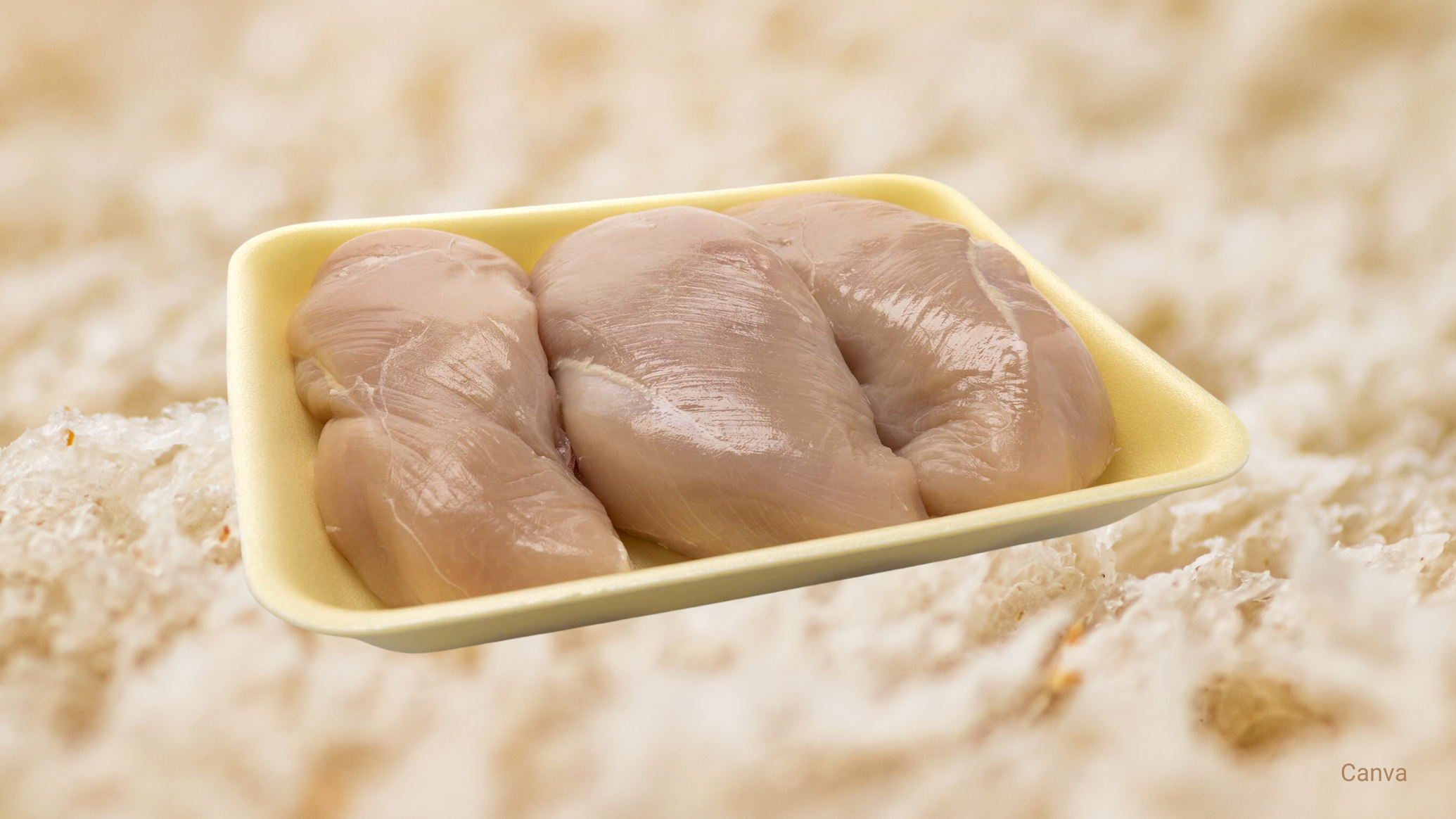 Eastman’s Bioplastic Foam Aces Tests