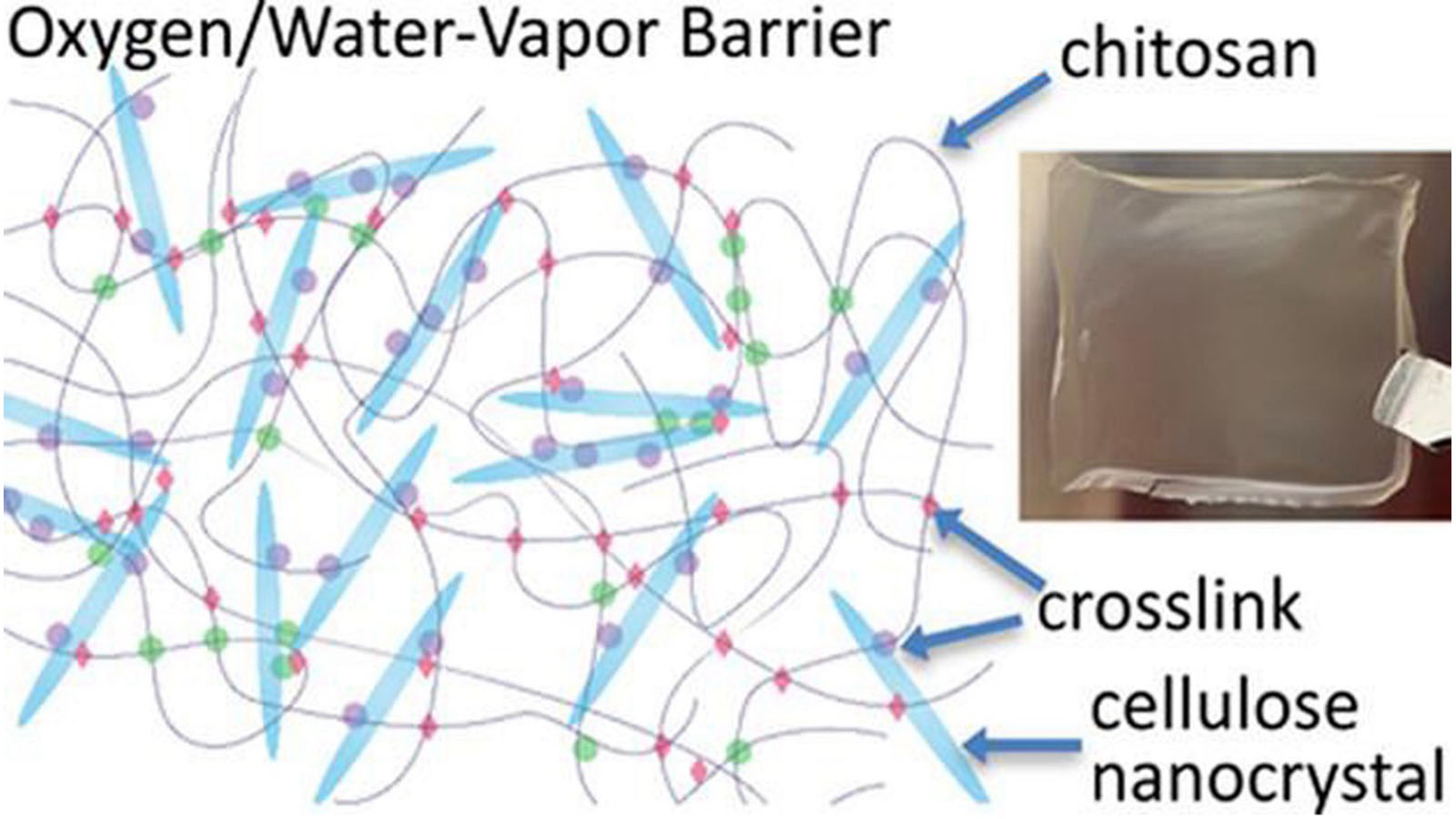 High-barrier, Biodegradable Bioplastic Film Developed
