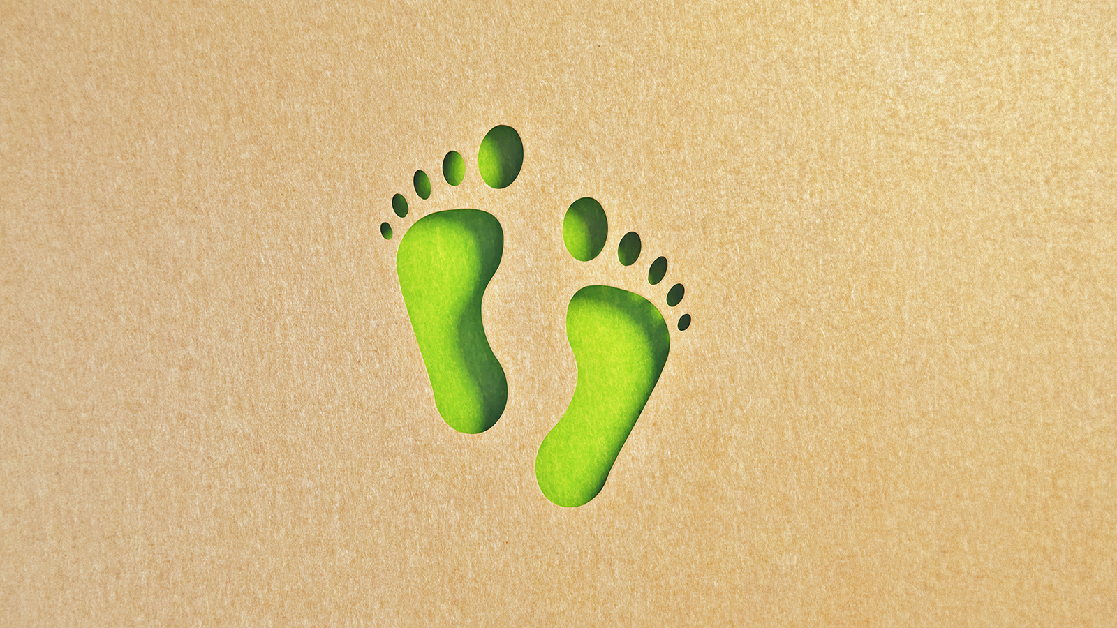Ecological Footprint Environmental Footprint Methods European