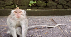 Extrusion basics: Troubleshooting? It’s OK to monkey with the resin