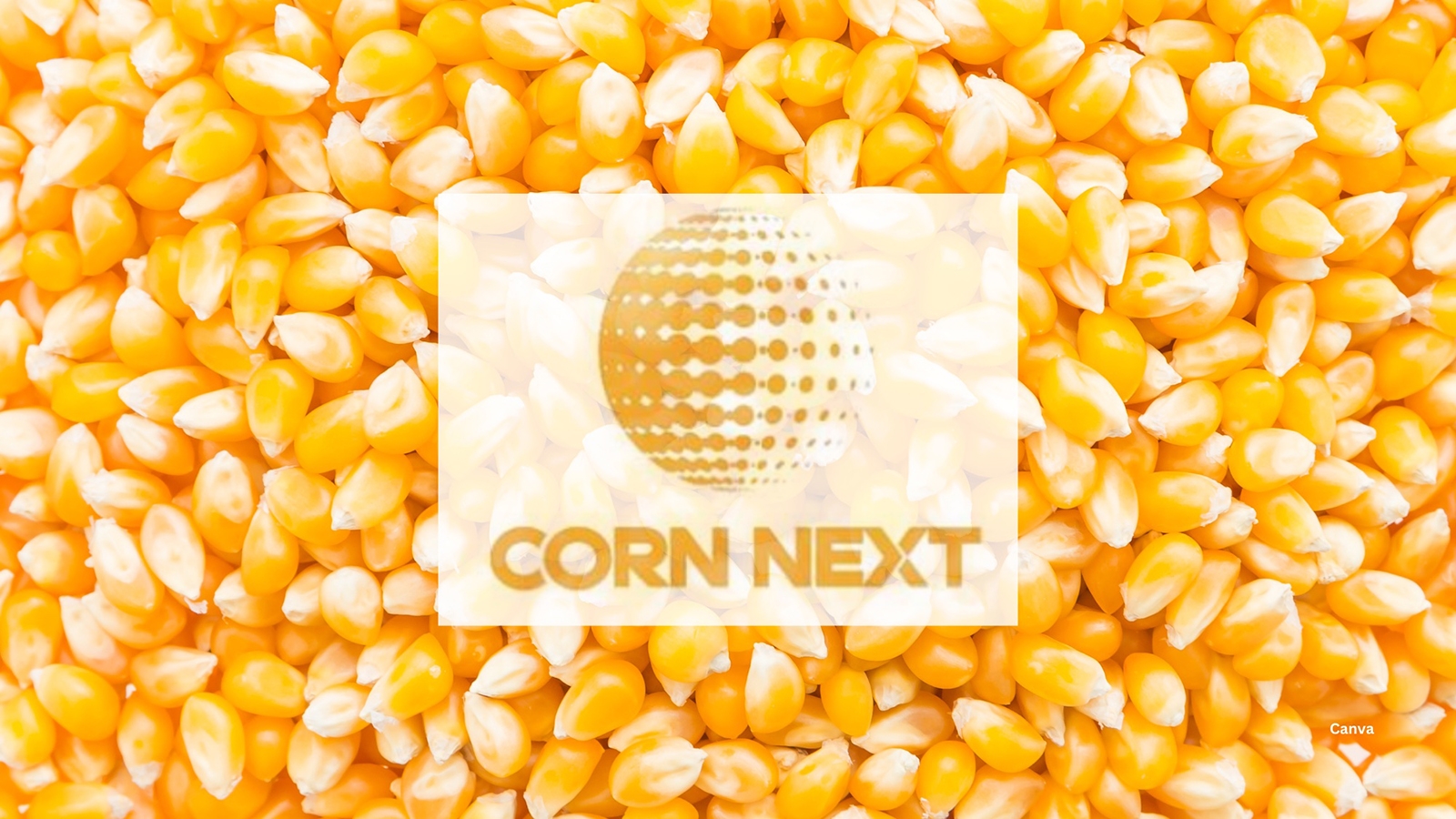 Novel Corn-based Biopolymer Arrives in US