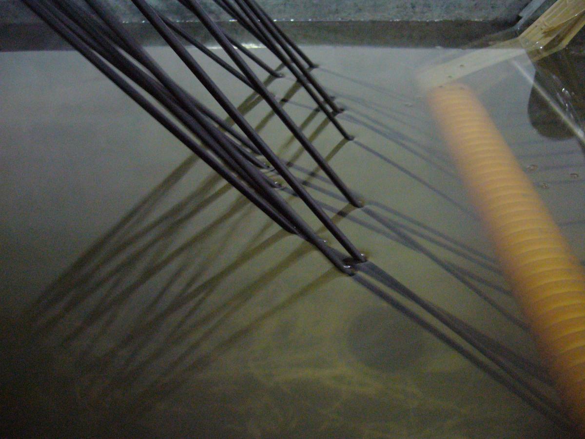 Three new recycled polymer grades from Axion Polymers