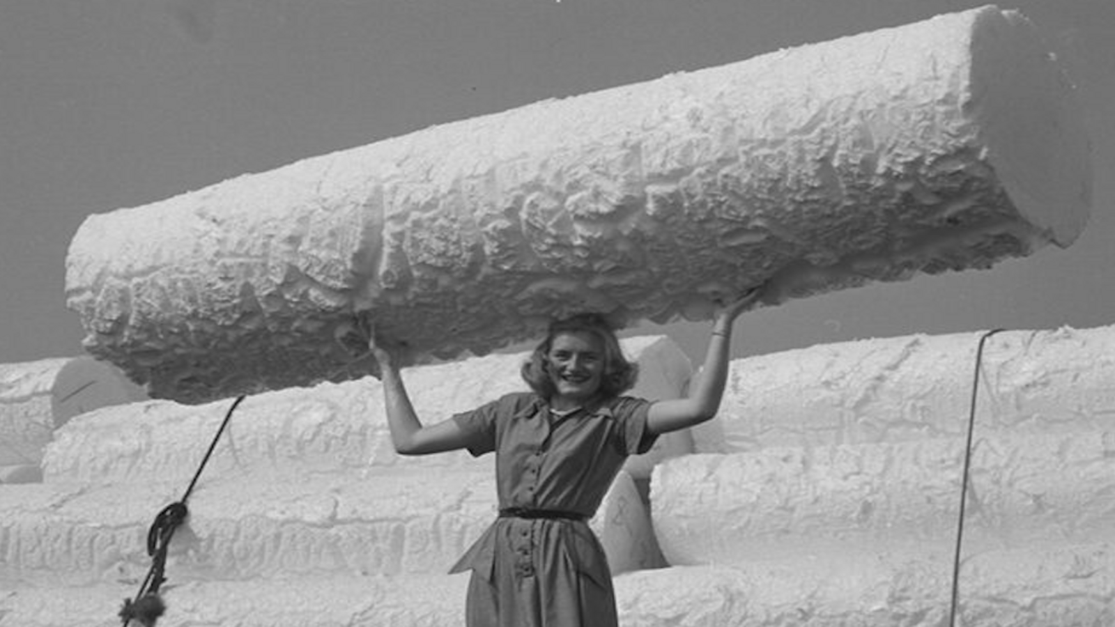 Polystyrene Accident Sparked Plastic Evolution