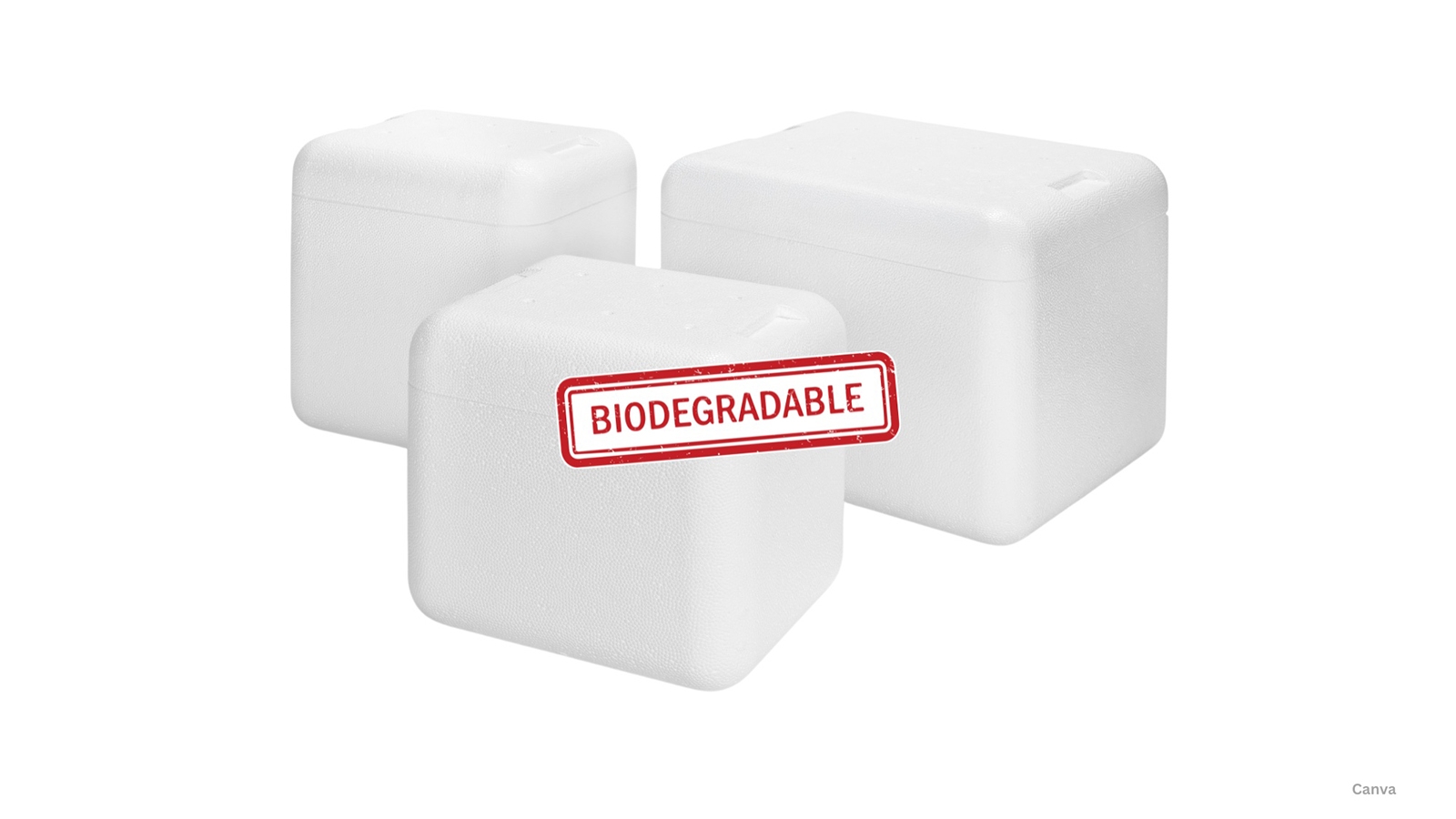 Packaging recent news | Plastics Today