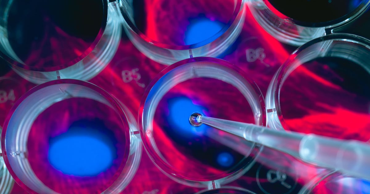 New Biomaterial-Cell Binding Technology