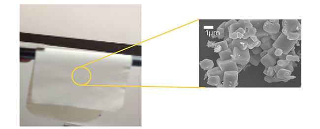 PE-based Piezoelectric Film Cost-effective Alternative to PVDF