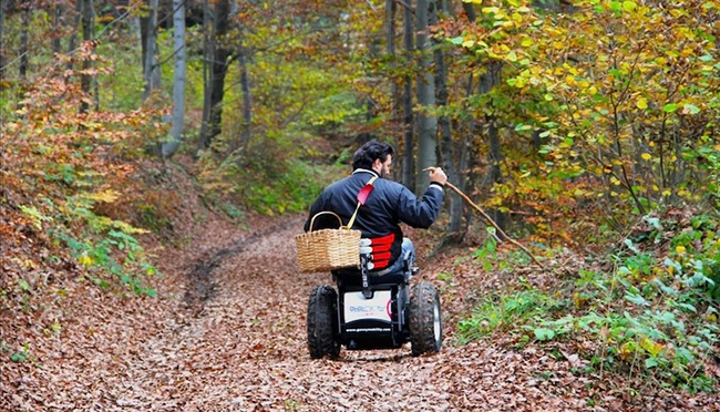 Self-balancing Electric Two-Wheeler a High-Tech Alternative to Wheelchairs