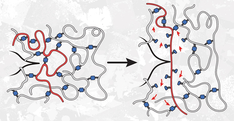 Weaker Polymer Bonds Produce Stronger Materials, Researchers Claim
