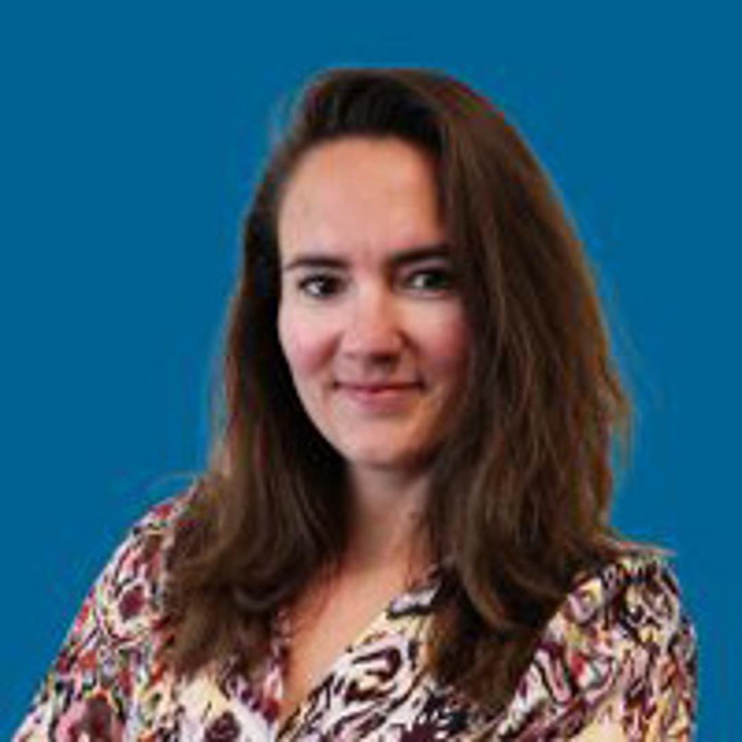 (International) Project Manager Execution BESS | Alfen