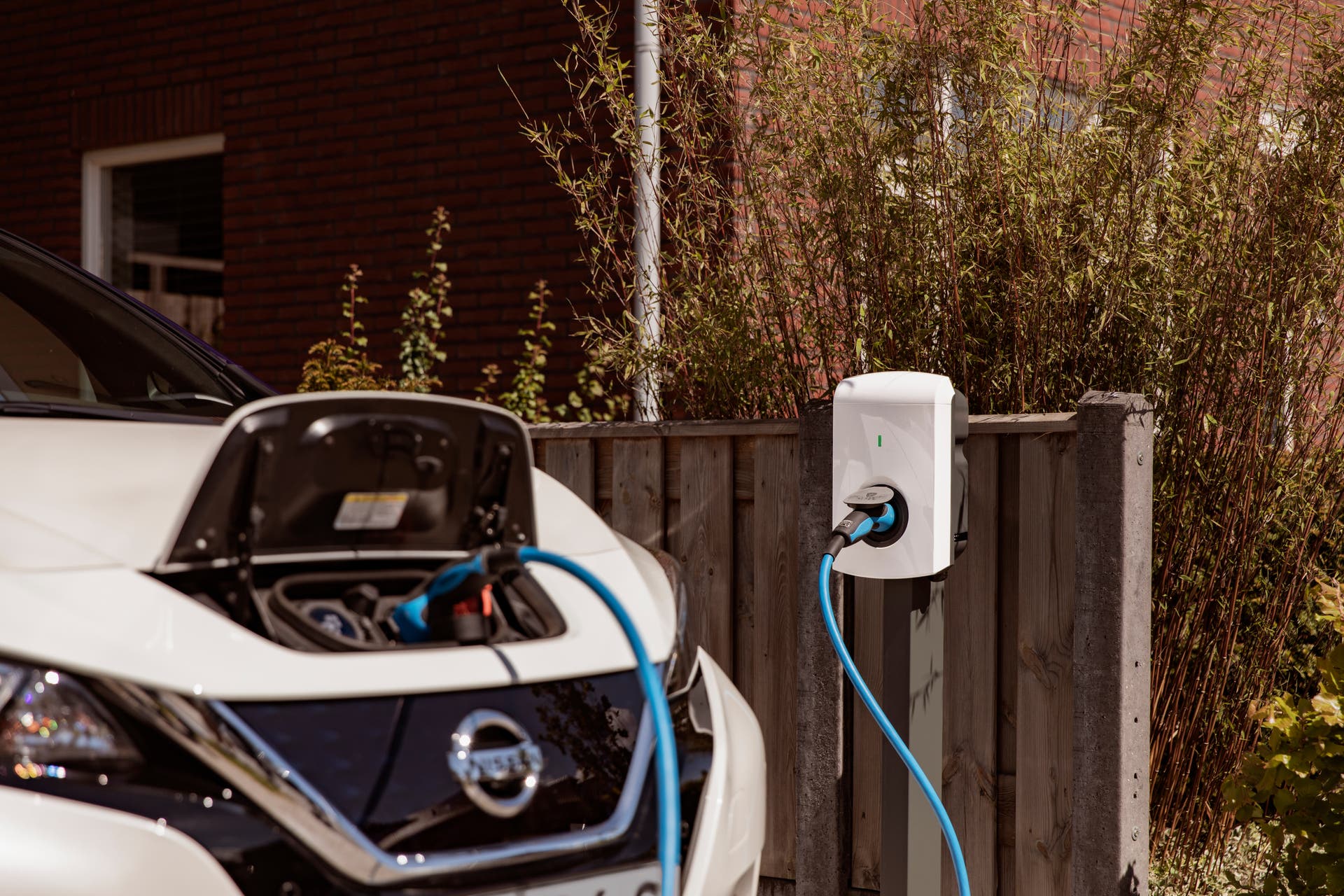 Eve Single S-line | Alfen