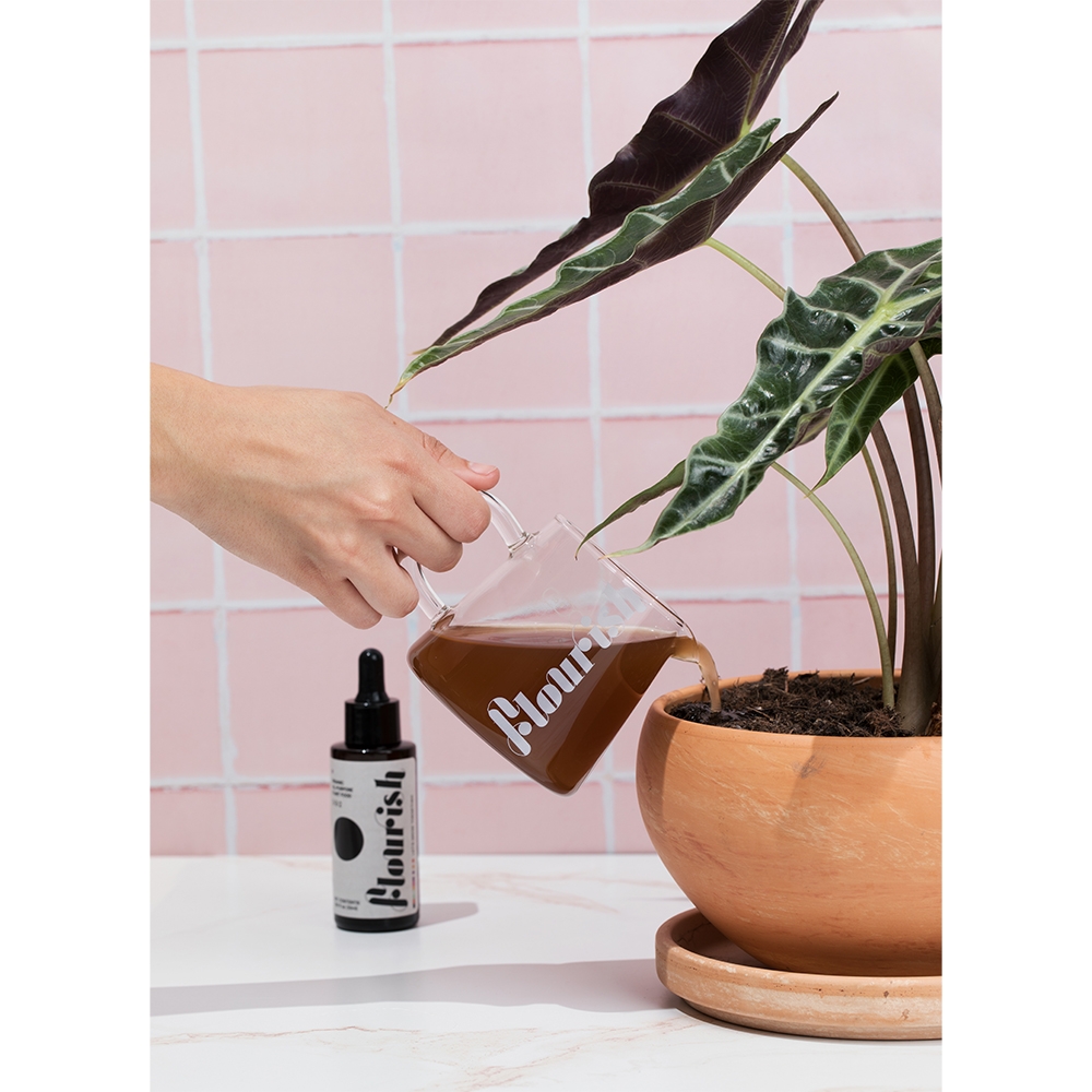 Flourish Plant founders look to grow brand at Expo East's Pitch Slam