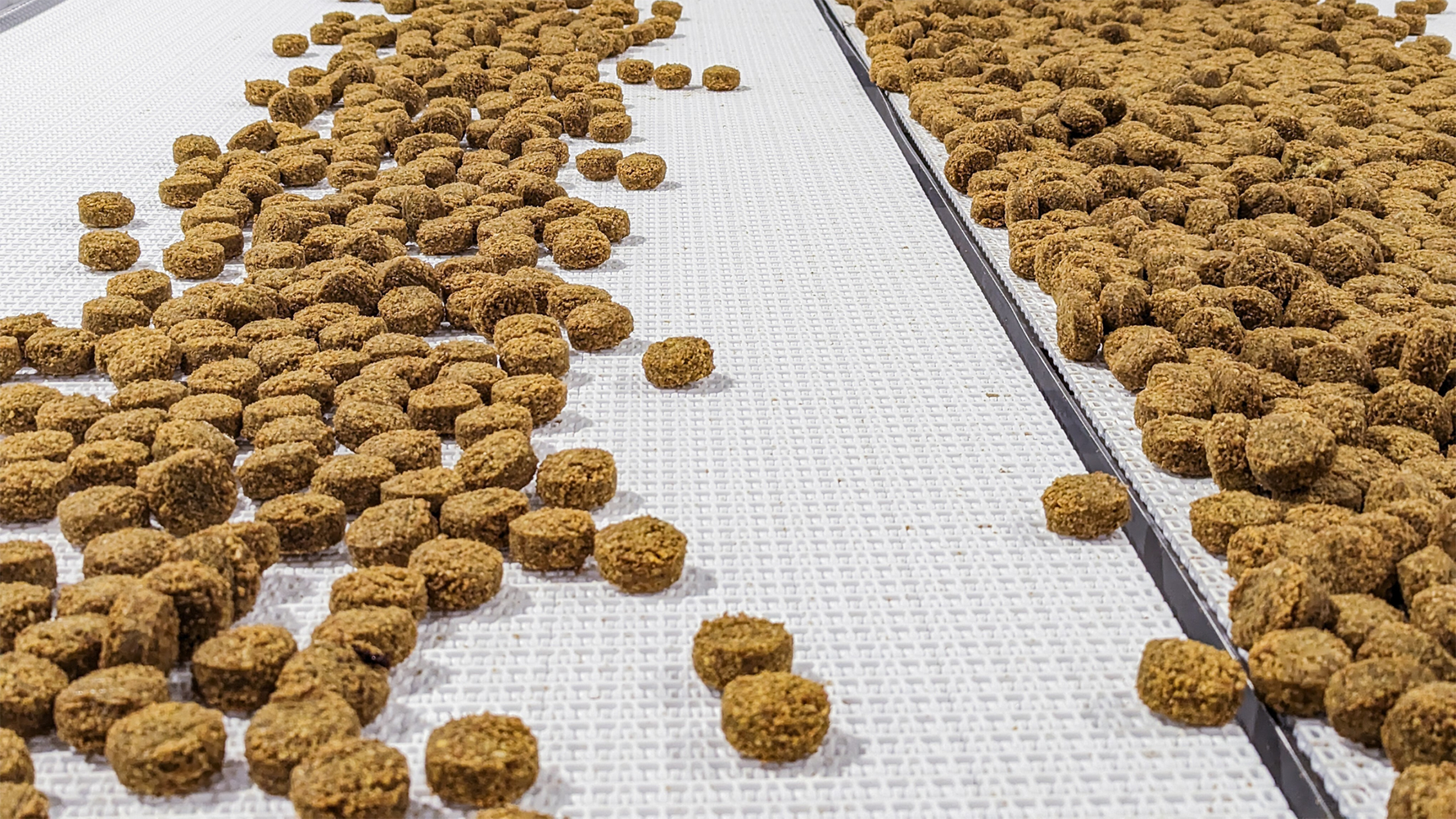 Afia Foods elevates Mediterranean flavors while uplifting refugees