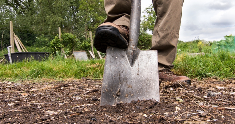 Improving healthy food access requires addressing the roots of the pro