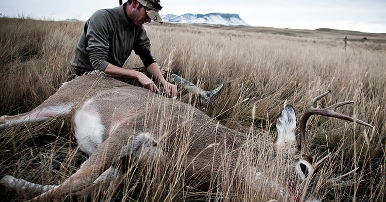 5@5: Unpreventable food waste | Consumers hunt for meat