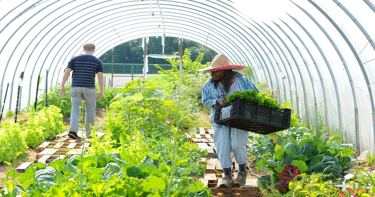Buy a Real Food Farm water bottle at Expo East to support healthy food ...