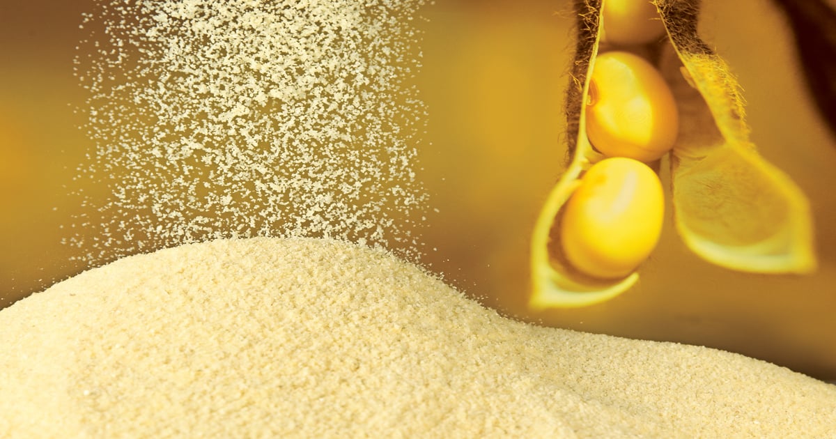 Berg + Schmidt opens deoiled lecithin plant