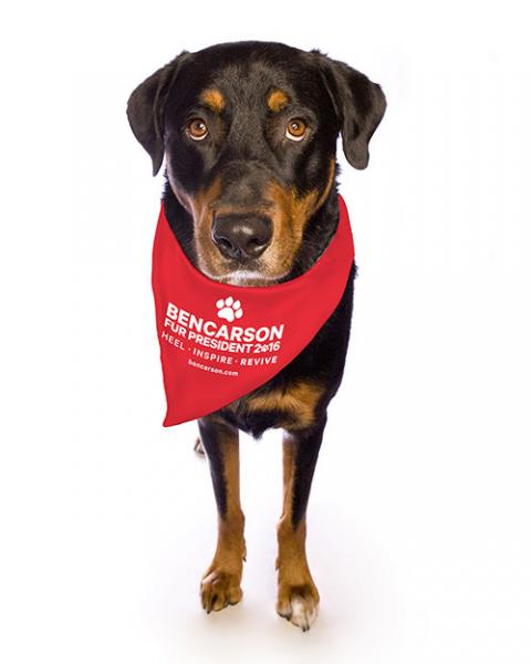 Mannatech’s connections with Ben Carson provide a lesson for the ...