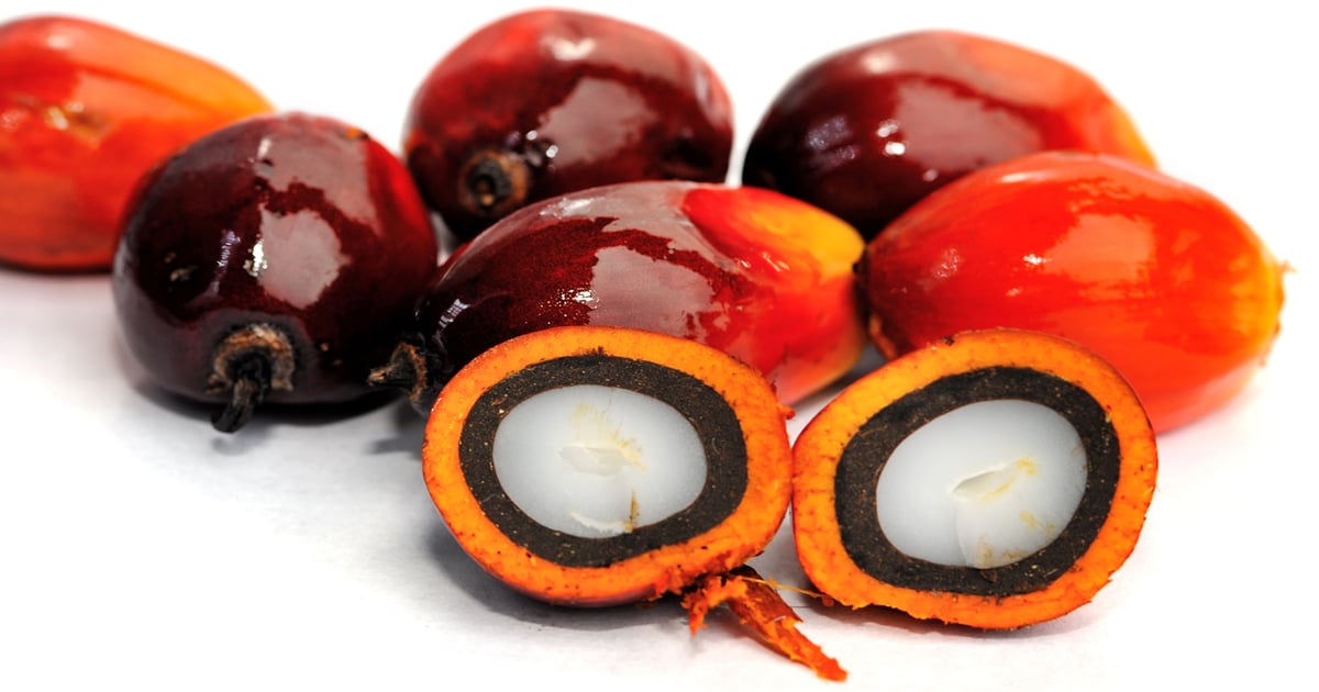 Palm Done Right plans to change the palm oil production game
