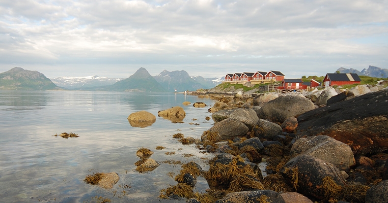 NEXTY winner Kvarøy Arctic fights food waste, improves sustainability