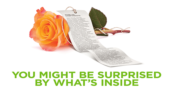 Glade reveals spring household collection: transparency