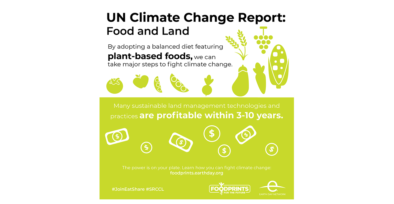 To tackle climate change, we need to rethink our food system