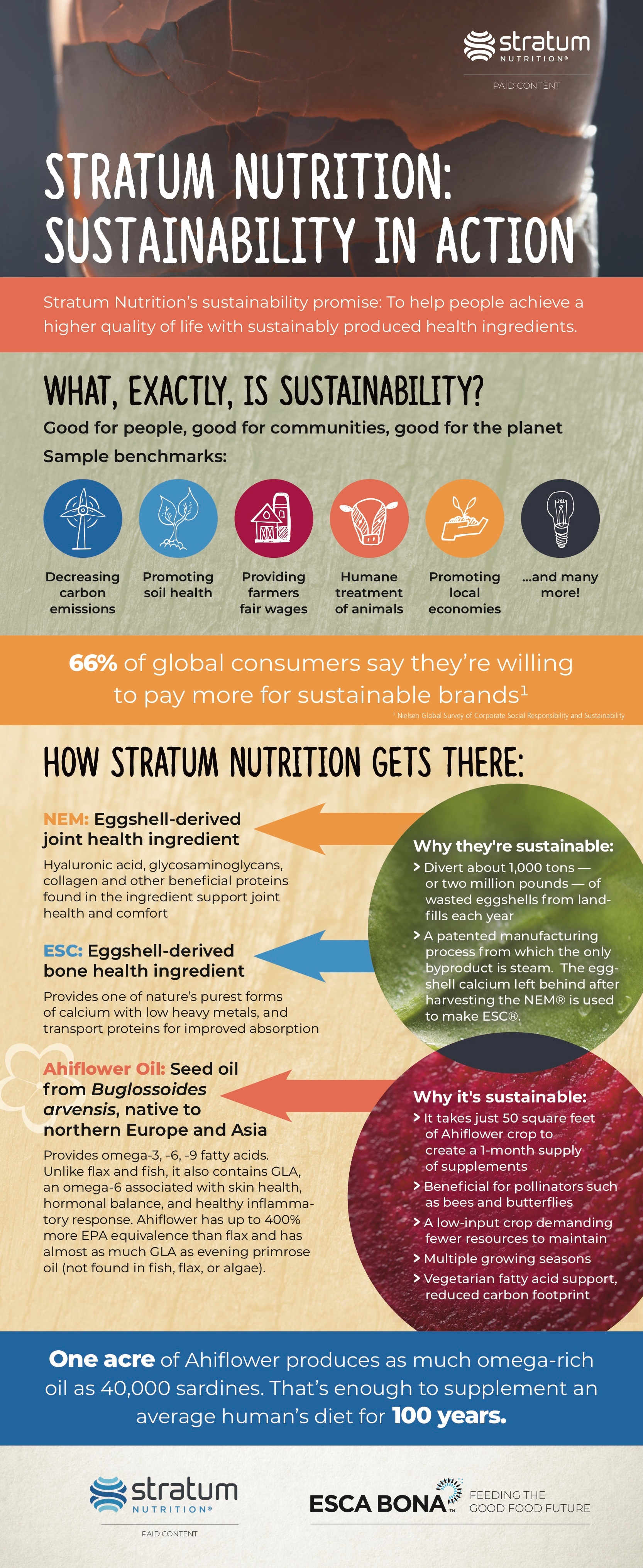 Stratum Nutrition sustainability in action