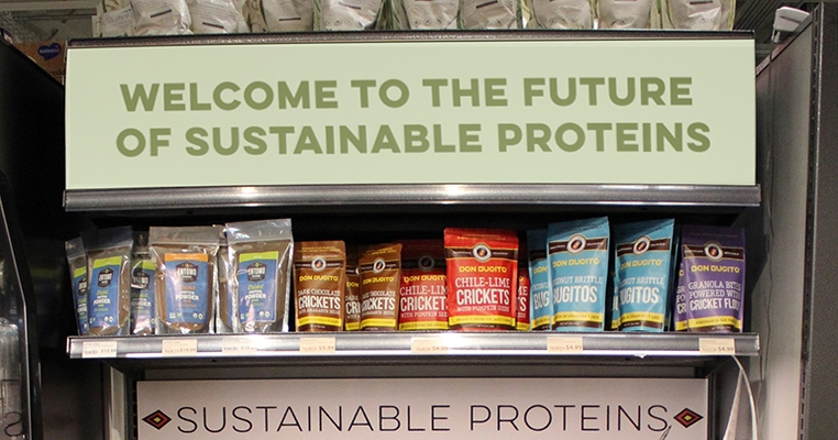 The state of insect protein: Retailers weigh in