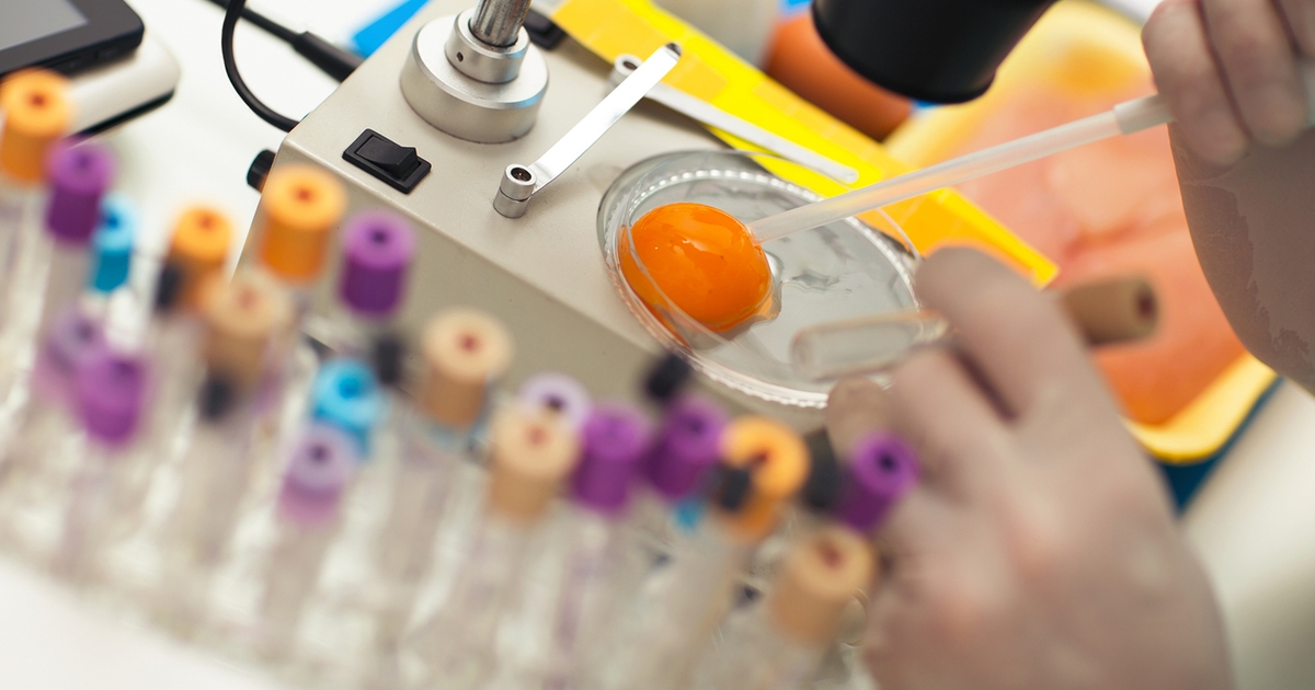 An in-depth look into FSMA and preventative controls for manufacturers