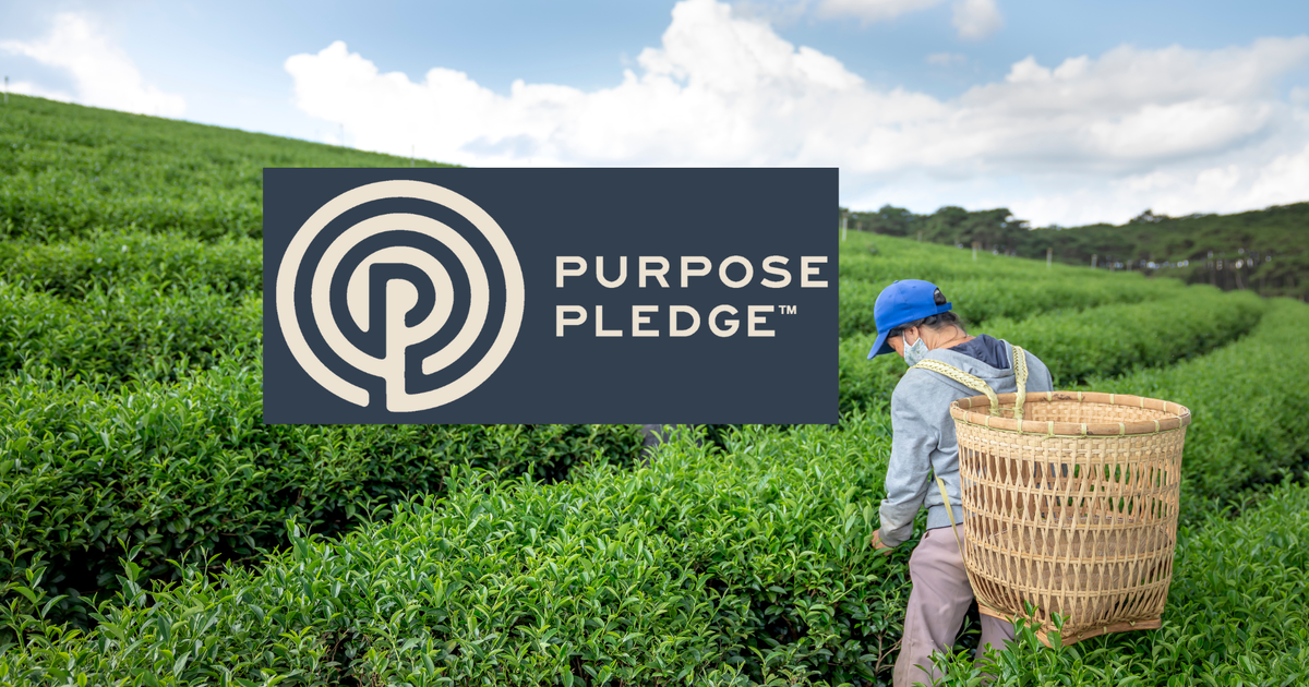 Purpose Pledge video highlights the need for a better way of doing business