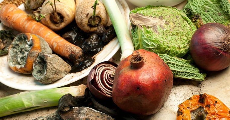 Using AI to decrease food waste, improve sustainable food production