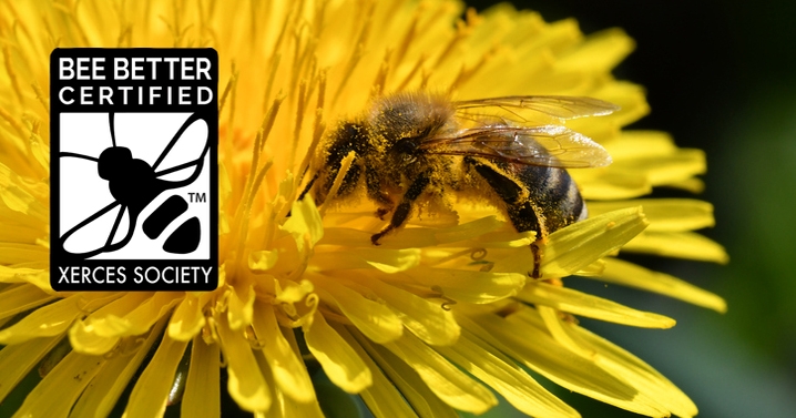 Bee Better Certified seal could help shoppers find bee-friendly foods
