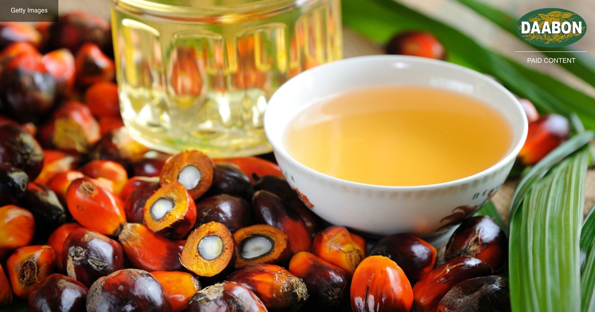 Empowering women in sustainable palm oil: Daabon’s commitment
