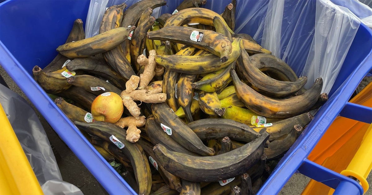 How Cingari Family ShopRite turns food waste into electricity