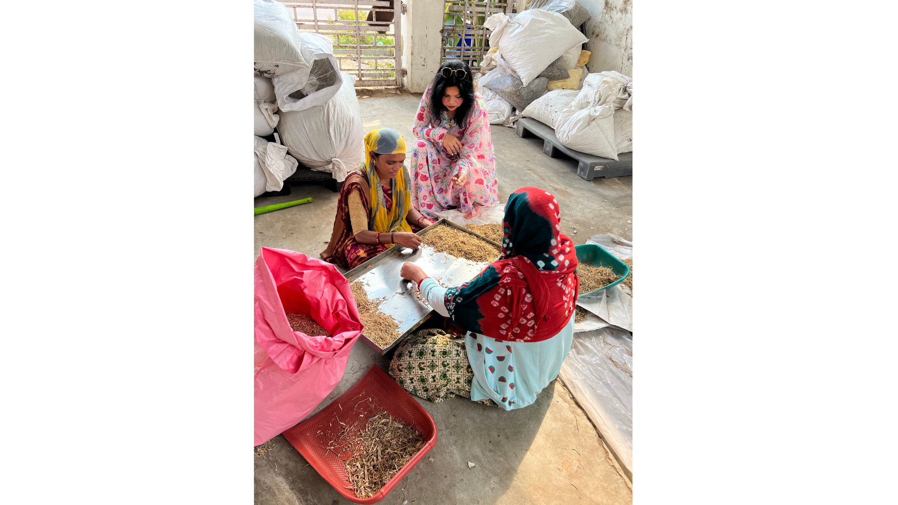 Keya’s Snacks' Indian-inspired chips revolutionize ethnic food in ...