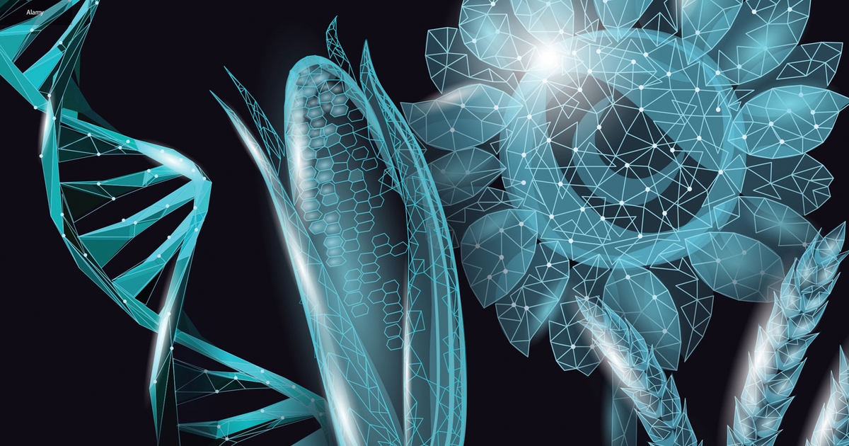 Food tech in natural products: Precision fermentation market risks