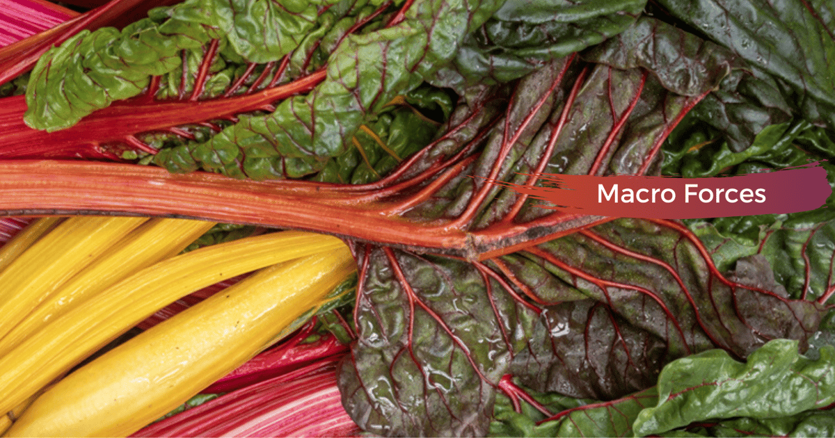 The macro forces driving natural products industry trends