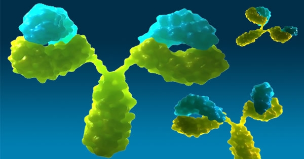 Charge Heterogeneity Analysis in 10 Minutes