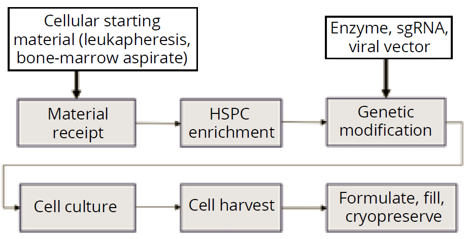 Hematopoietic Stem and Progenitor Cell Therapies