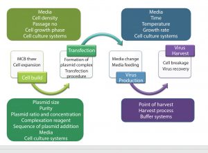 Development Approaches to Adenoassociated Virus Production
