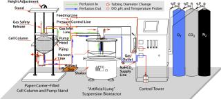A Single-Use, Scalable Perfusion Bioreactor System