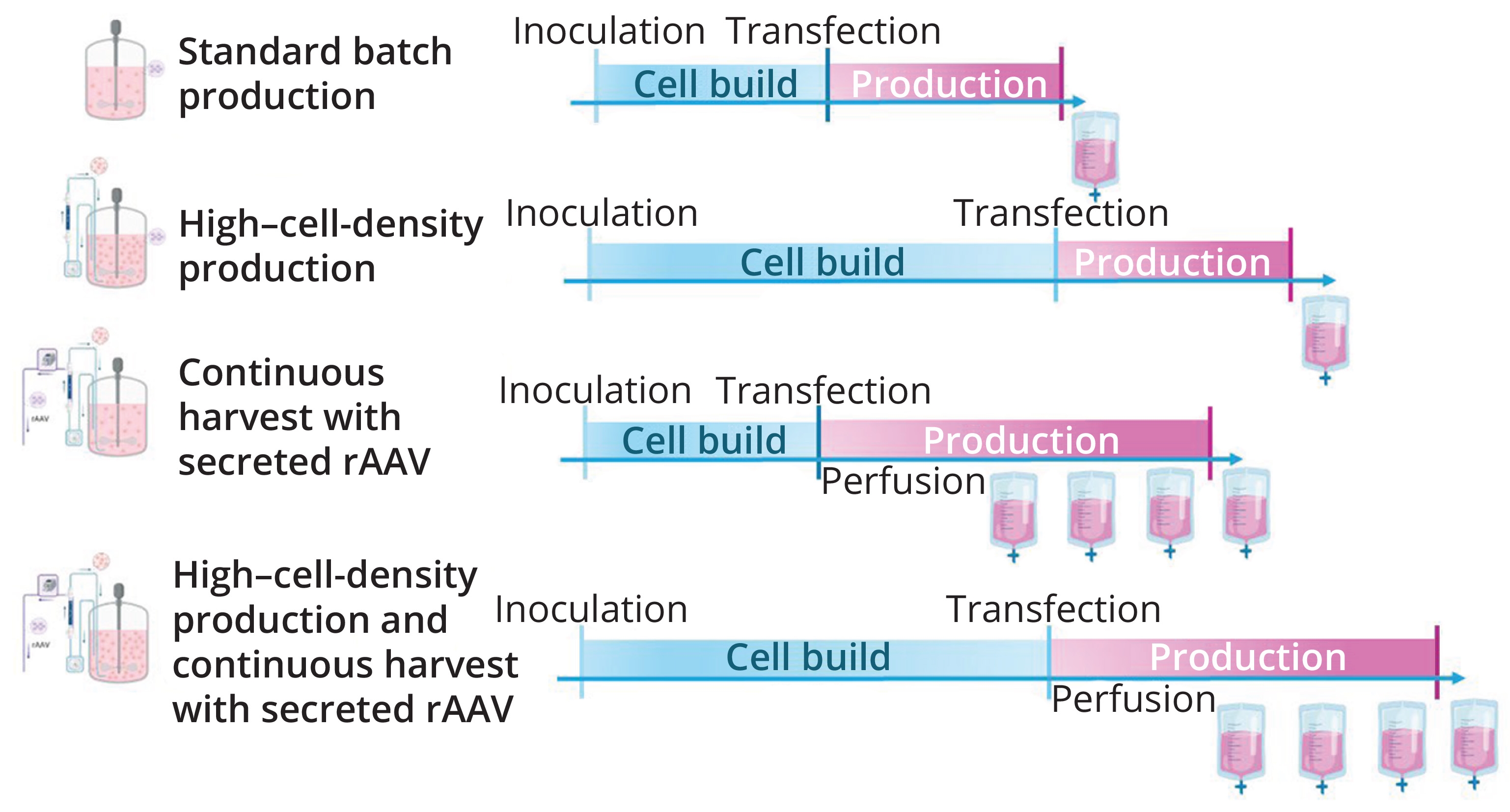 CGT Catapult Seeks To Optimize AAV Manufacturing