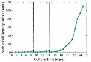 A Novel Seed-Train Process Using High-Density Cell Banking