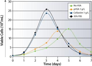 Cellastim™ Recombinant Human Serum Albumin